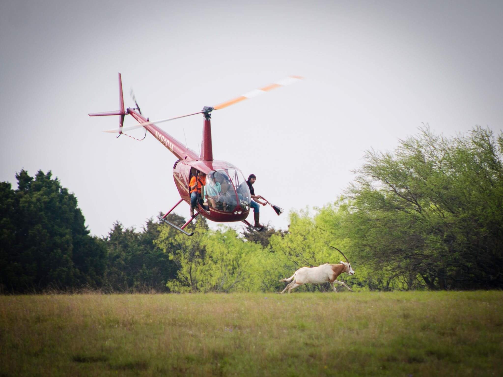 IMG_4599 – WildLife Partners, LLC