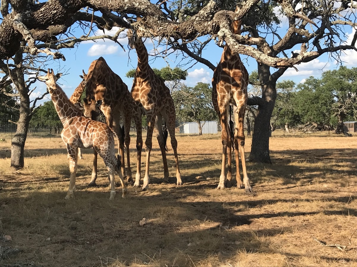 IMG_5189 – WildLife Partners, LLC