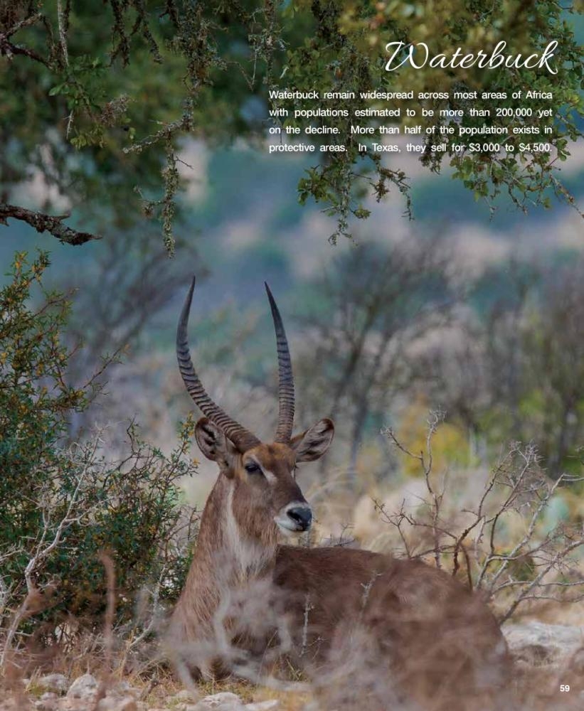 Wildlife Partners Summary - WildLife Partners, LLCWildLife Partners, LLC
