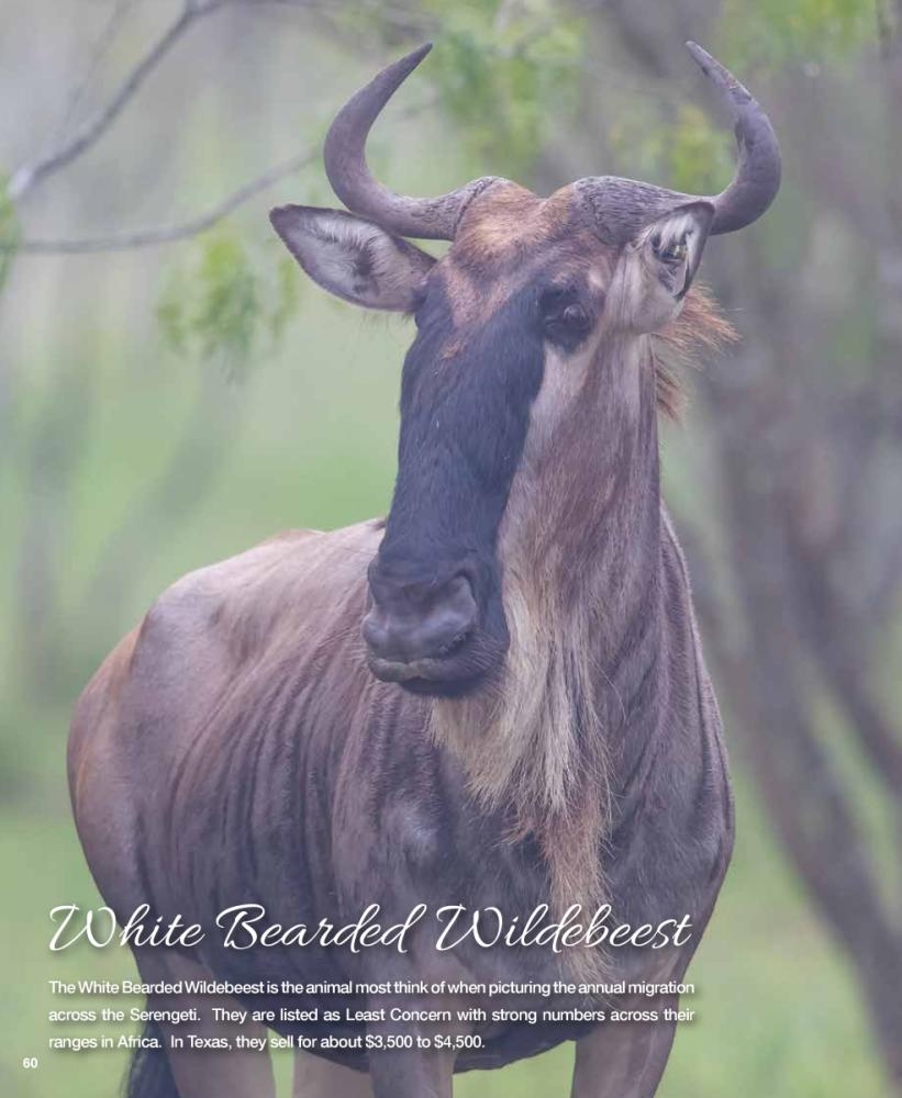 Wildlife Partners Summary - WildLife Partners, LLCWildLife Partners, LLC