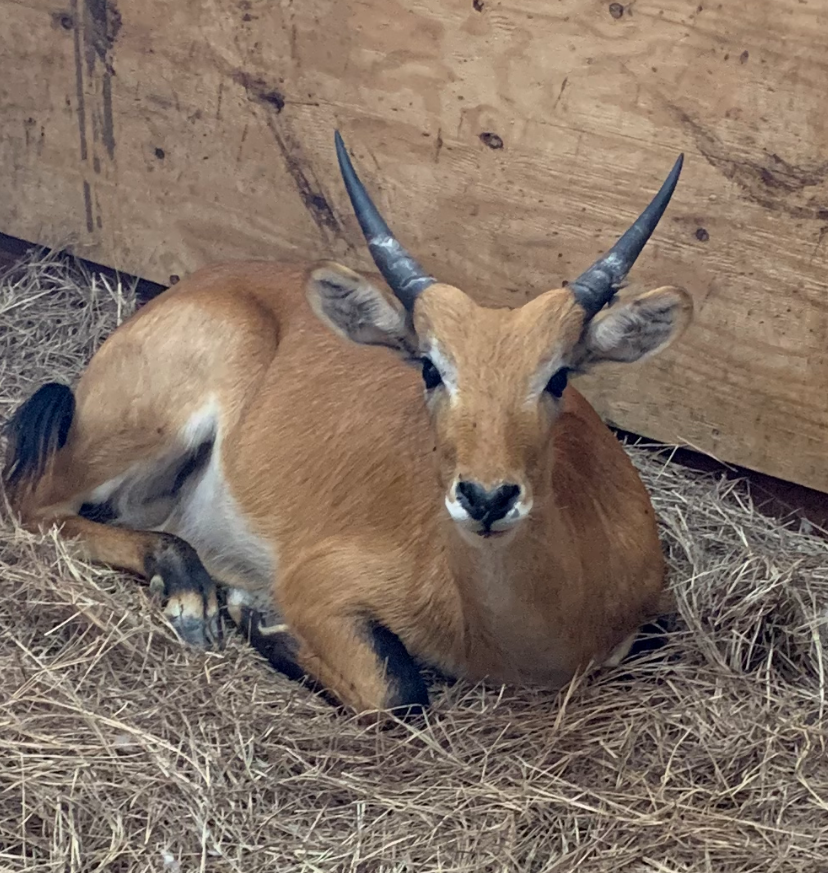 IMG_2971 – WildLife Partners, LLC