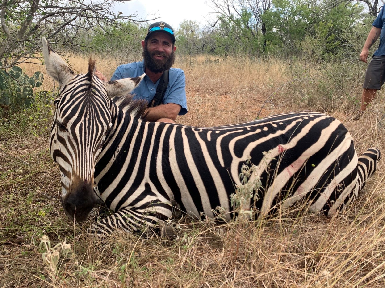 zebrastud11092020 – WildLife Partners, LLC